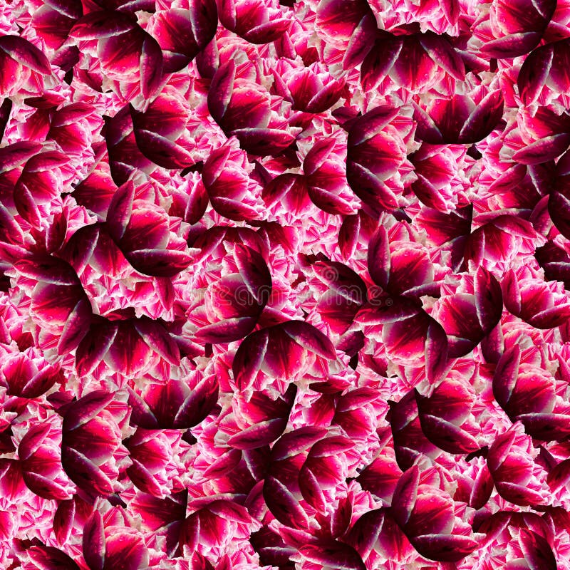 Texture of a Seamless Pattern with Tulip Buds. Decorative Design ...