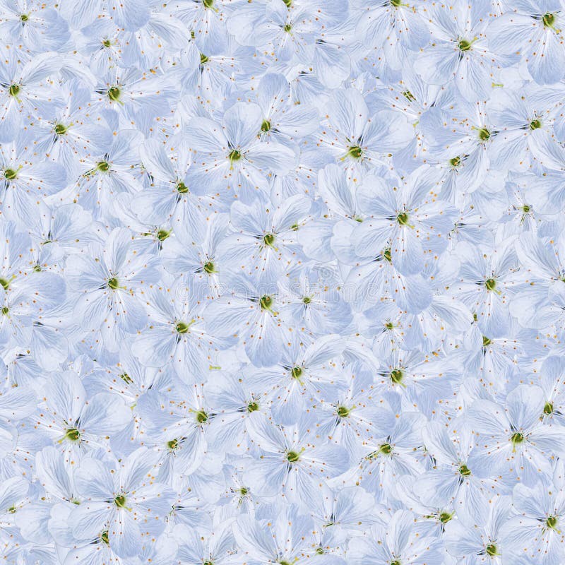 Texture of a Seamless Pattern with White Flowers. Decorative Design ...