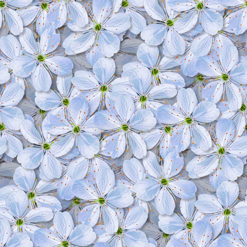 Texture of a Seamless Pattern with White Flowers. Decorative Design ...