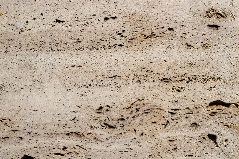 Texture of Seashell Stone Close Up Stock Photo - Image of scabrous ...