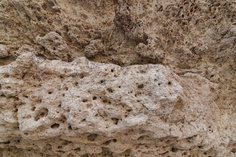 Texture of Sedimentary Limestone Rock with Shells Stock Image - Image ...