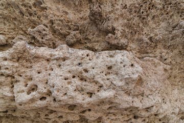 Texture of Sedimentary Limestone Rock with Shells Stock Image - Image ...