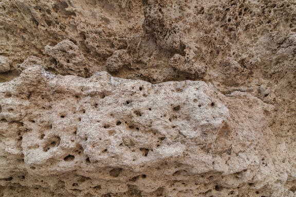 Texture of Sedimentary Limestone Rock with Shells Stock Image - Image ...
