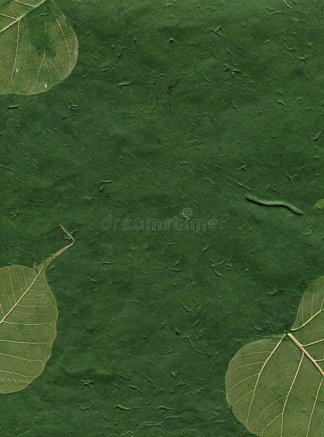 Texture Series - Green Paper with Leaves Stock Image - Image of element ...