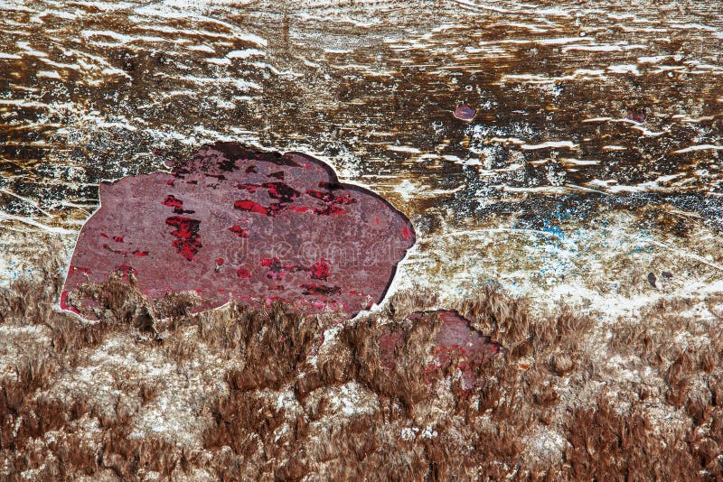 Algae Rust Metal Texture Photos - Free & Royalty-Free Stock Photos from ...