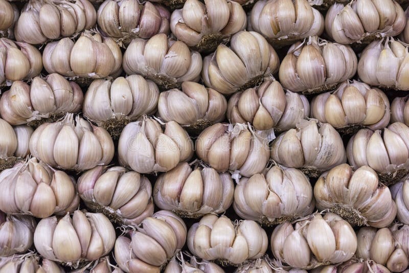 Texture of Several Raw Garlic in the Market Stock Photo - Image of ...