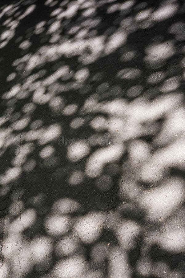 Texture shadow from trees stock image. Image of concrete - 97072011