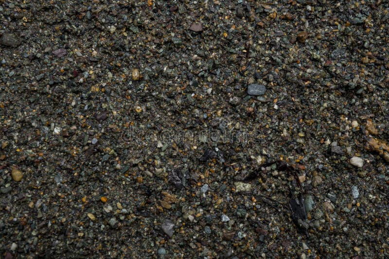 The Texture of a Shallow River Stone Stock Image - Image of material ...