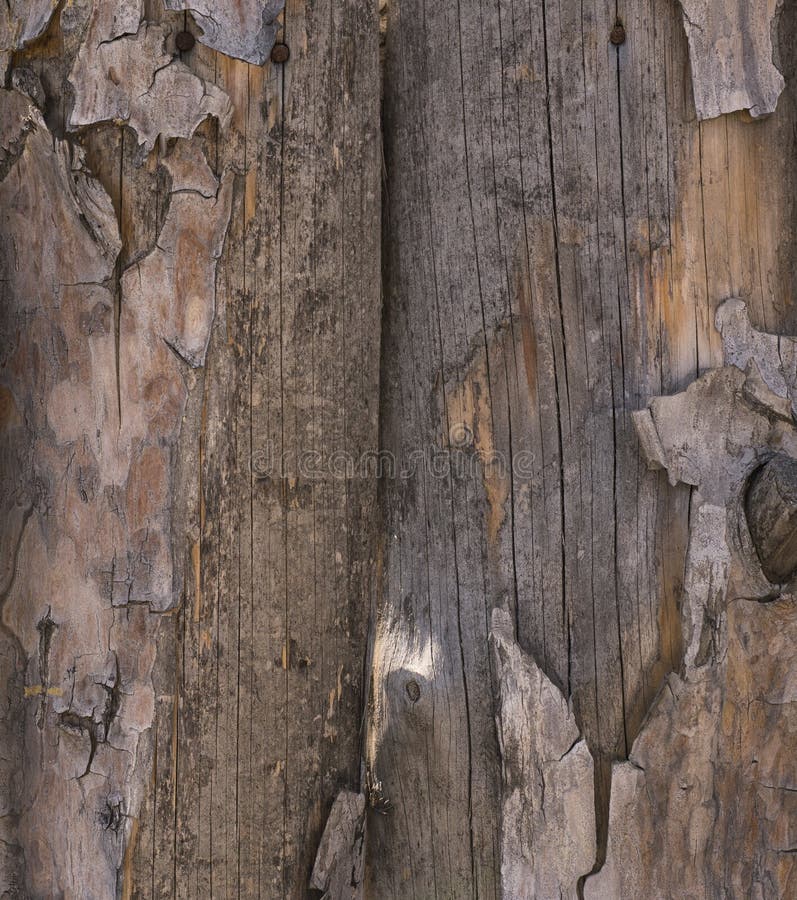 Texture Shattered Pine Boards Closeup Stock Image - Image of details ...