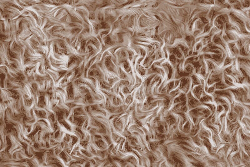 Texture of Sheep Wool, or Curly White Hair Stock Illustration ...