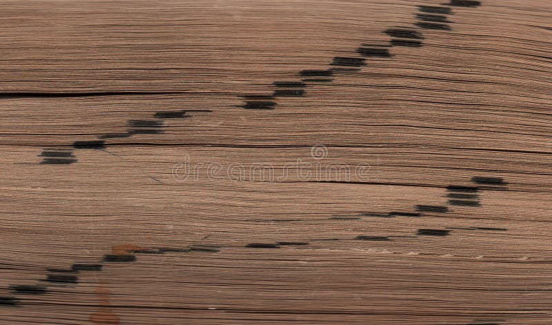 Texture Sheets of the Old Big Book Stock Image - Image of natural ...
