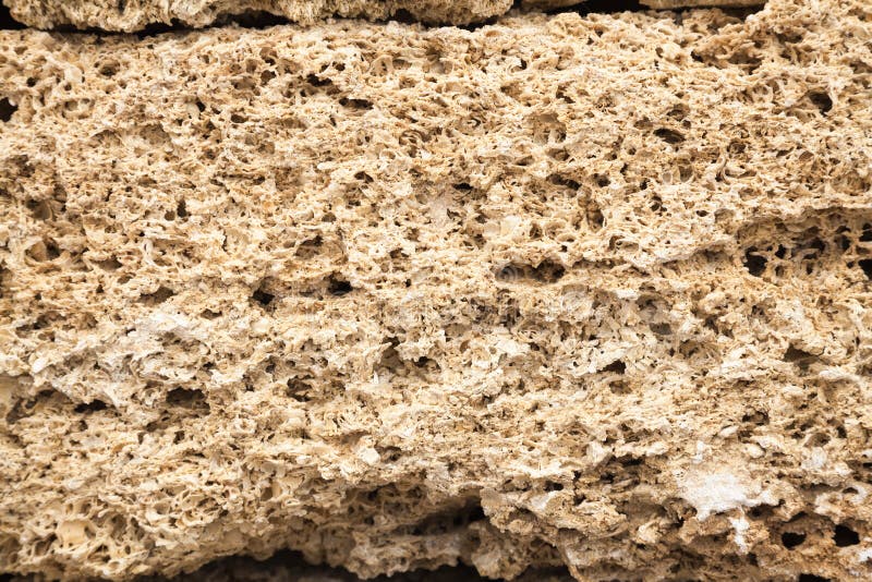 Texture Shell Limestone Closeup Stock Image - Image of debris, build ...