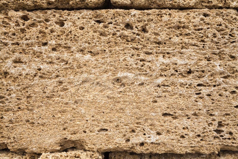 2,096 Limestone Shell Texture Stock Photos - Free & Royalty-Free Stock ...