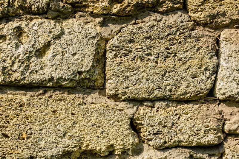 Texture of the Shell Rock Limestone Bricks for Background. Natural ...