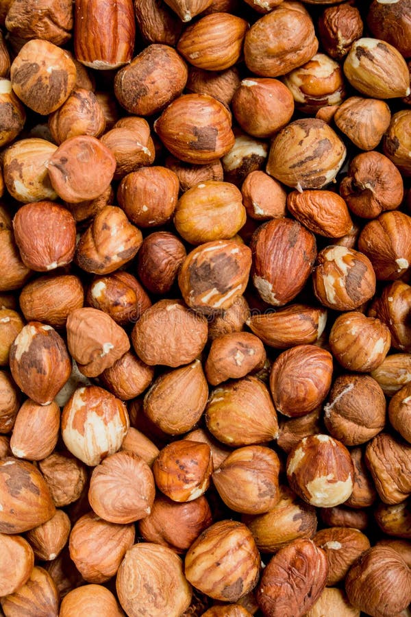 The Texture of the Shelled Hazelnuts Stock Image - Image of vegan, food ...