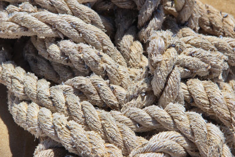 Texture Ship Rope, Covered with Sand Stock Photo - Image of yachts ...