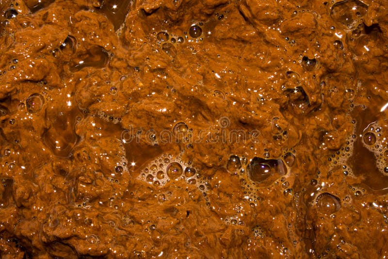 289 Real Poop Pictures Stock Photos - Free & Royalty-Free Stock Photos ...