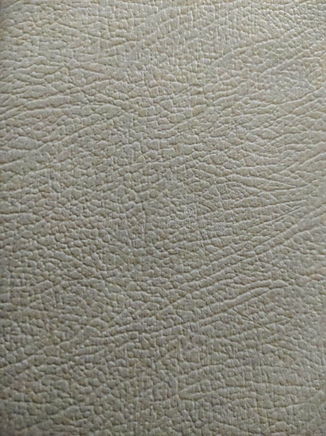 Texture shoot stock image. Image of shoot, home, texture - 209924723