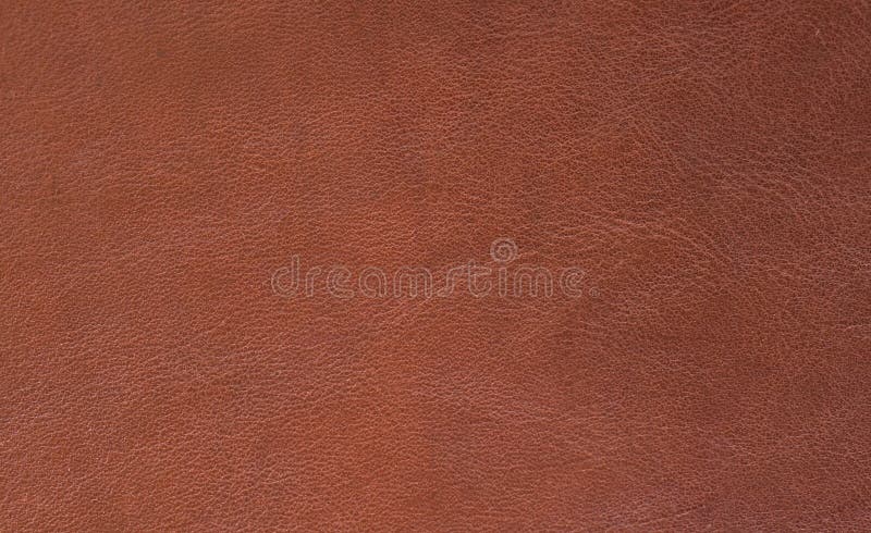 Texture- skin stock image. Image of surface, copy, subtle - 8181901