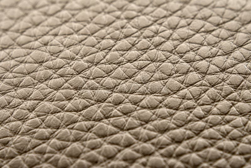 Texture of the skin. stock image. Image of nature, bumpy - 36776995