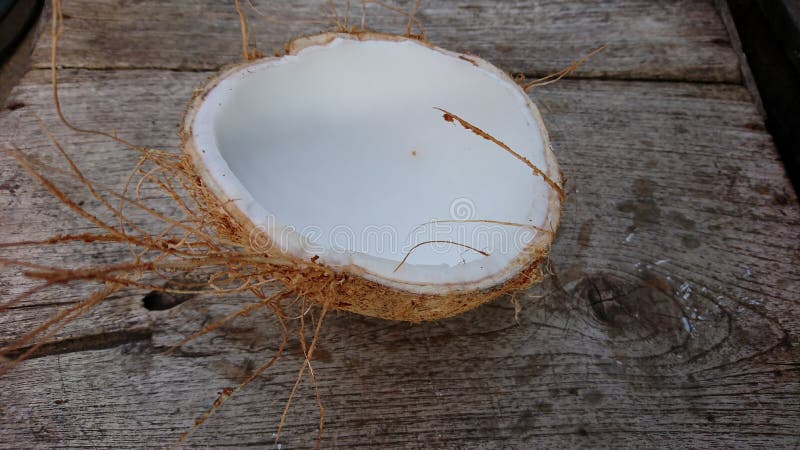 The Texture of the Skin Fibers on the Pieces of Coconut Fruit Stock ...