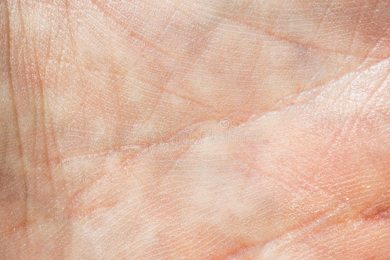 The Texture of the Skin of the Hand. Stock Photo - Image of macro ...