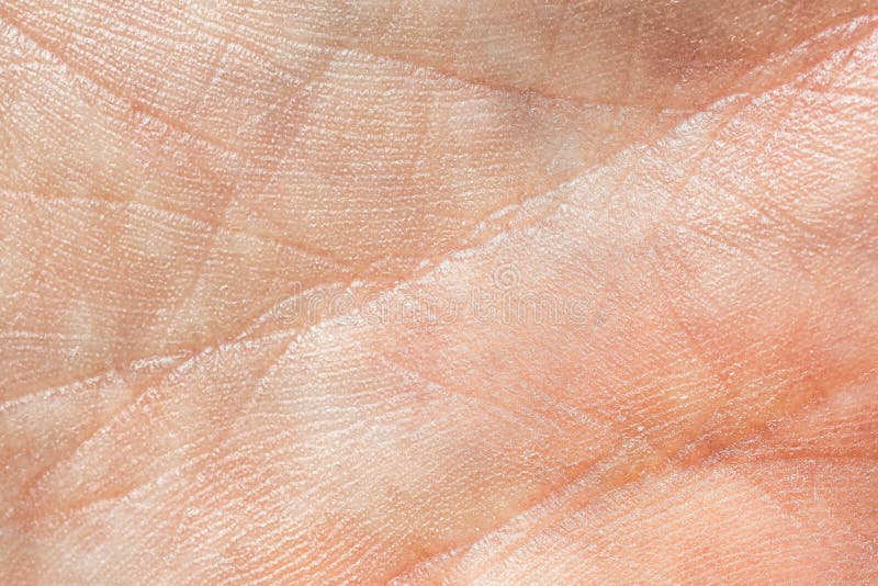 The Texture of the Skin of the Hand. Stock Image - Image of hand, pink ...