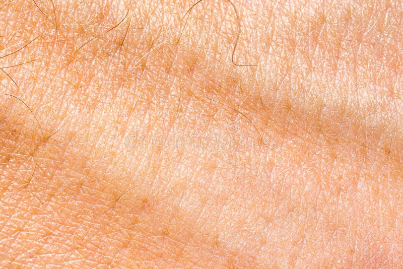 The Texture of the Skin of the Hand. Stock Photo - Image of caucasian ...