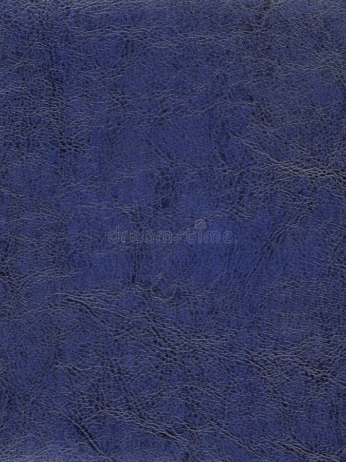 A texture of skin stock photo. Image of abstract, leather - 48824800