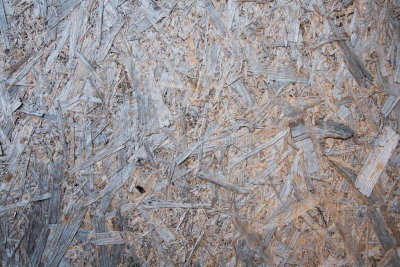 The Texture of the Slab of Wood. Background, Tree Ecology. Natural ...