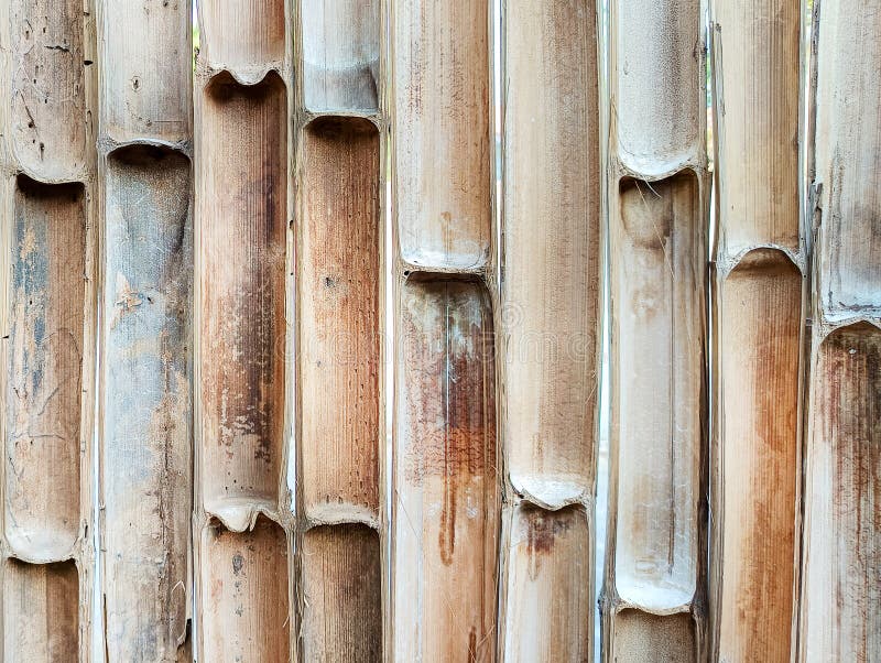 Texture Slice Half Bamboo Wood Wall Pattern Background Stock Image ...