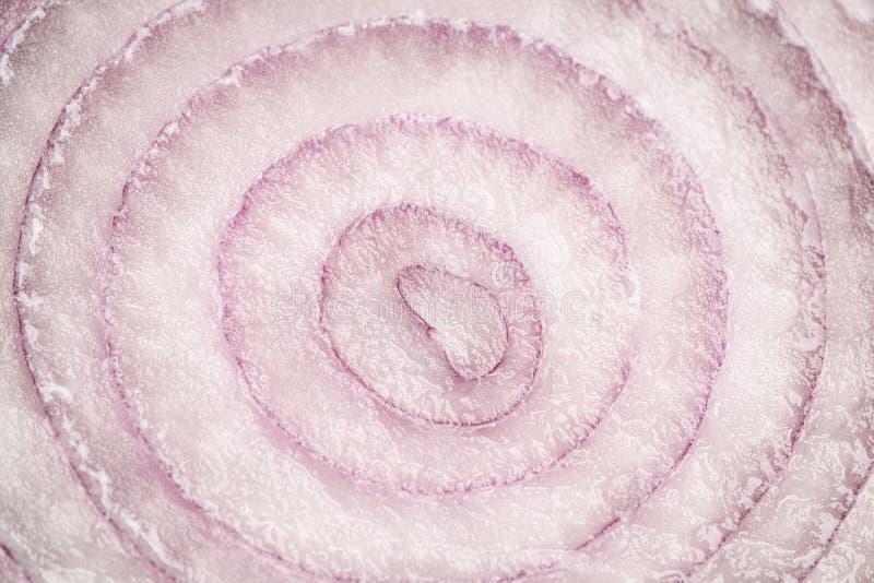 Texture of a Sliced Red Onion Stock Image - Image of husk, heart: 255511571