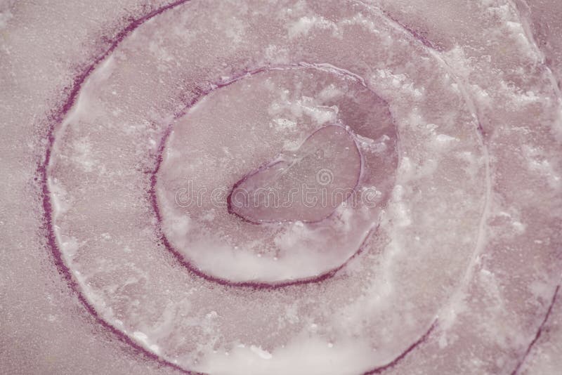 Texture of a Sliced Red Onion Stock Image - Image of fresh, close ...