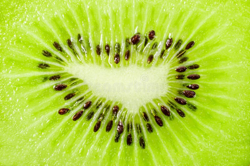 Texture of Slices Kiwi Frui. Stock Photo - Image of snack, kiwi: 101082712