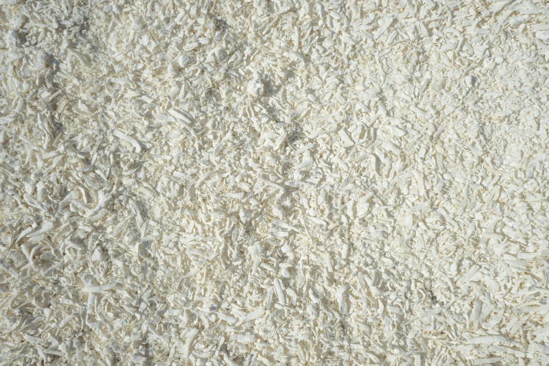 Texture of Small Cutting Cassava Pattern Background Small Size Stock ...