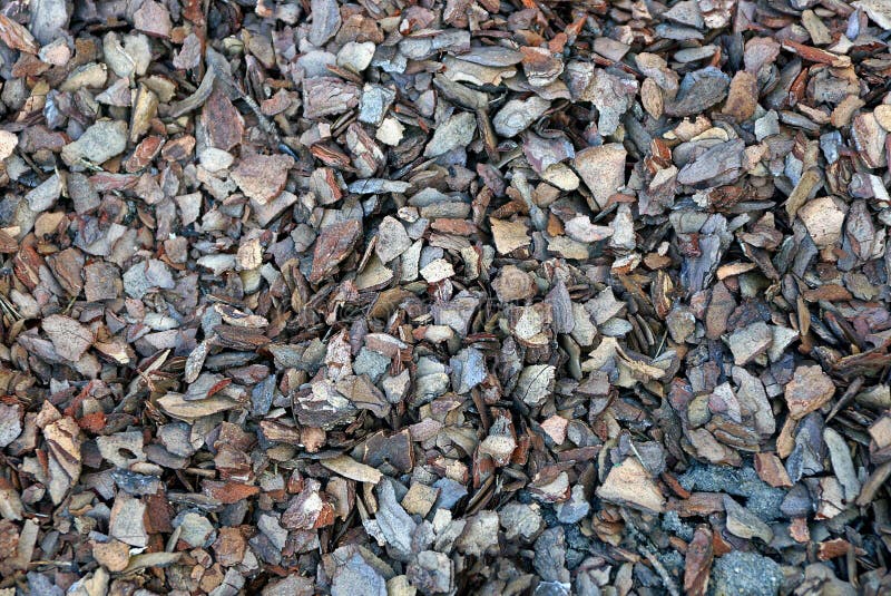 The Texture of Small Pieces of Brown Bark Stock Photo - Image of nature ...