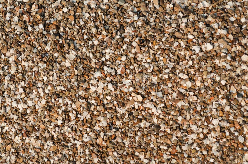 The Texture of Small Shells and Pebbles on the Shore Stock Image ...