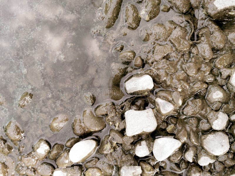 Texture of Small Stones Mixed with Water, Moss and Soil Stock Photo ...