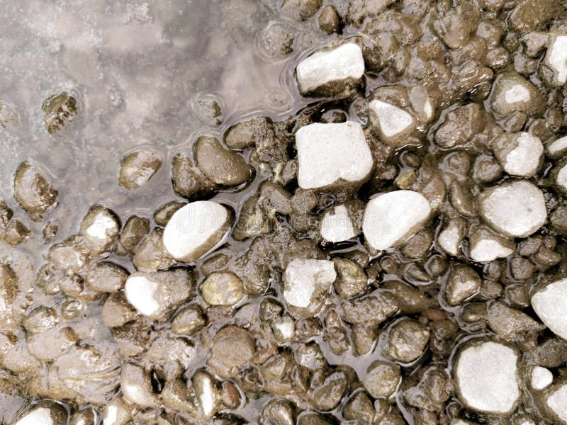 Texture of Small Stones Mixed with Water, Moss and Soil Stock Image ...