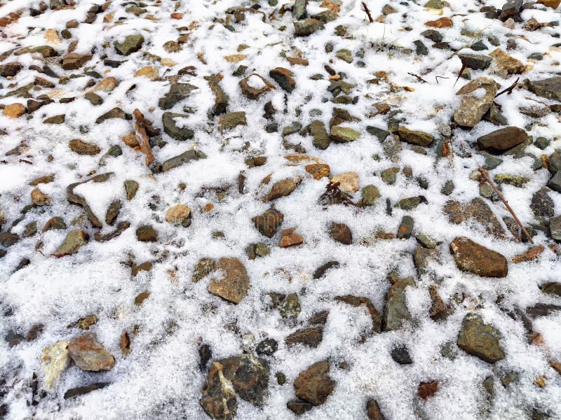 Texture of Small Stones with Snow. Background of Pebbles and Ice Stock ...