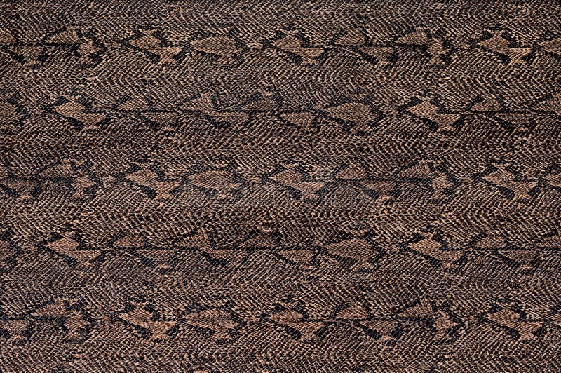 The texture of snake skin. stock photo. Image of macro - 70083766