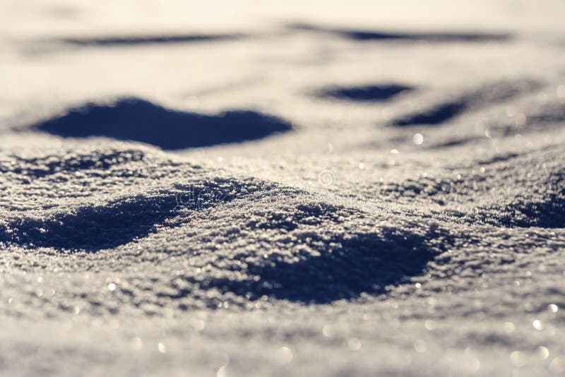 The Texture of the Snow, Backlit, Soft Focus Stock Photo - Image of ...
