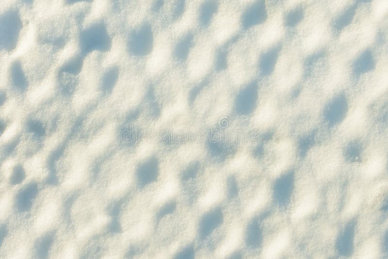 The Texture of the Snow in the Cells. Background, a Grid Covered with a ...