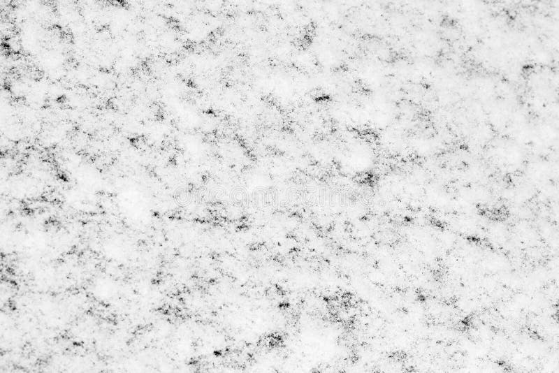 Ice Land (winter Forest Covered in Snow) Stock Image - Image of ...