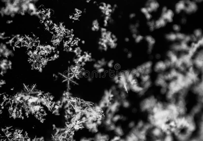 Texture of the Snowflakes on a Black Background. Design Element Stock ...