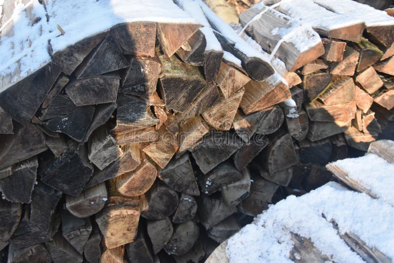Texture of Snowy Chopped Tree Trunk Stock Image - Image of snowy, brown ...