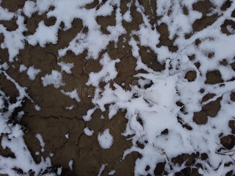 Texture of Snowy Grass and Ground Frost the First Snow Stock Image ...