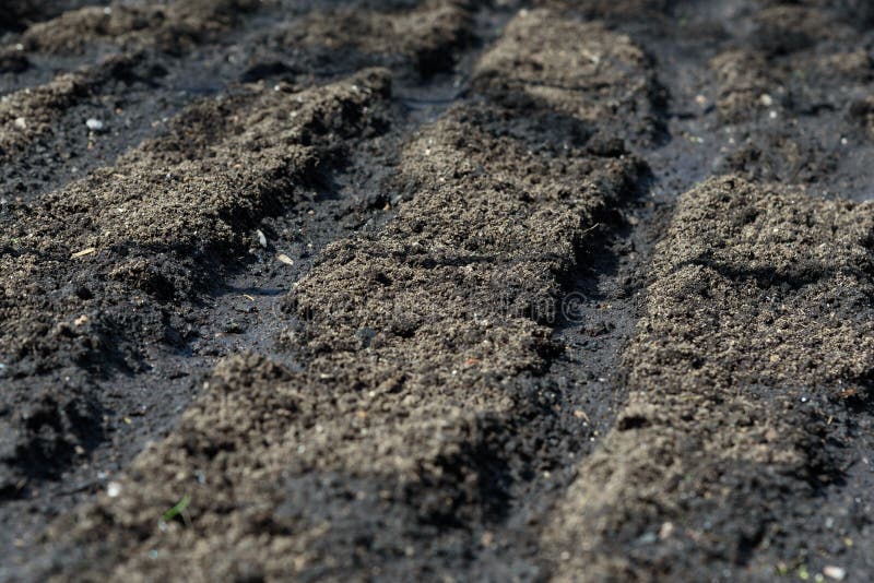 The Texture of the Soil Close Up Ready for Planting. Stock Image ...