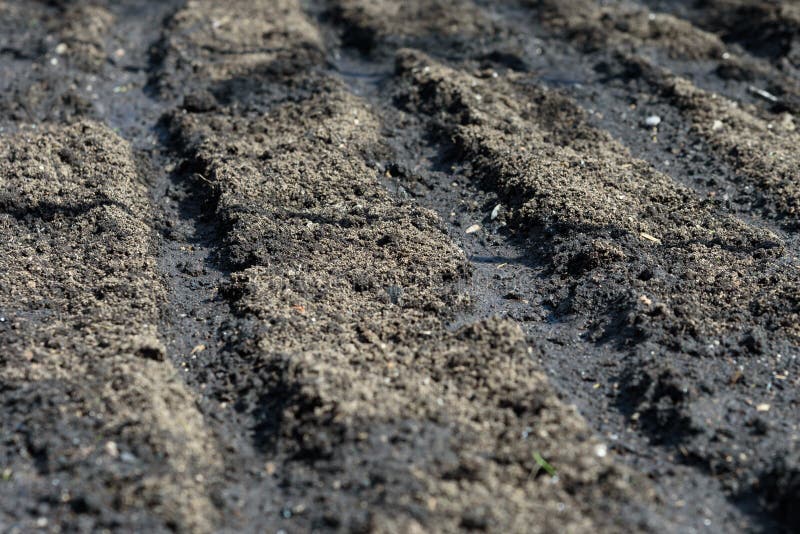 The Texture of the Soil Close Up Ready for Planting. Stock Image ...