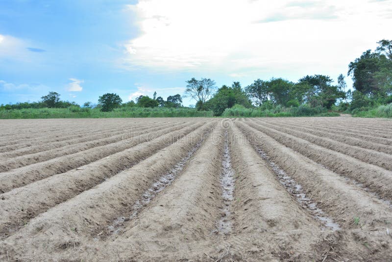 Soil groove stock image. Image of washed, environment - 54976415